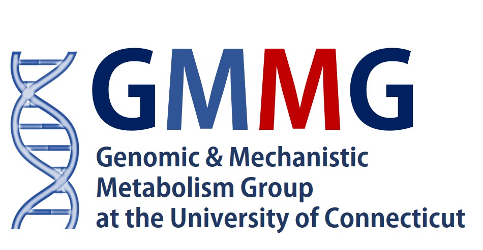 Blog – Genomic and Mechanistic Metabolism Group (GMMG)